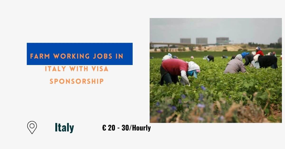 Farm Working Jobs in Italy with Visa Sponsorship 2024 (20€ Hourly)