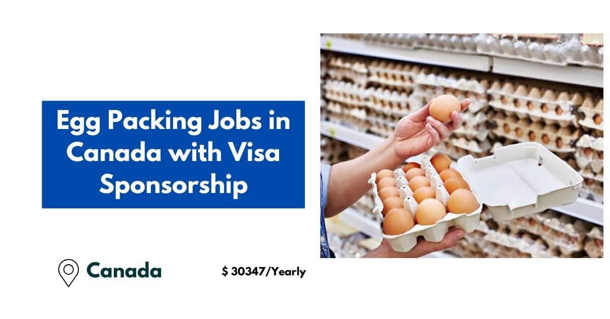 Egg Packing Jobs in Canada with Visa Sponsorship 2025