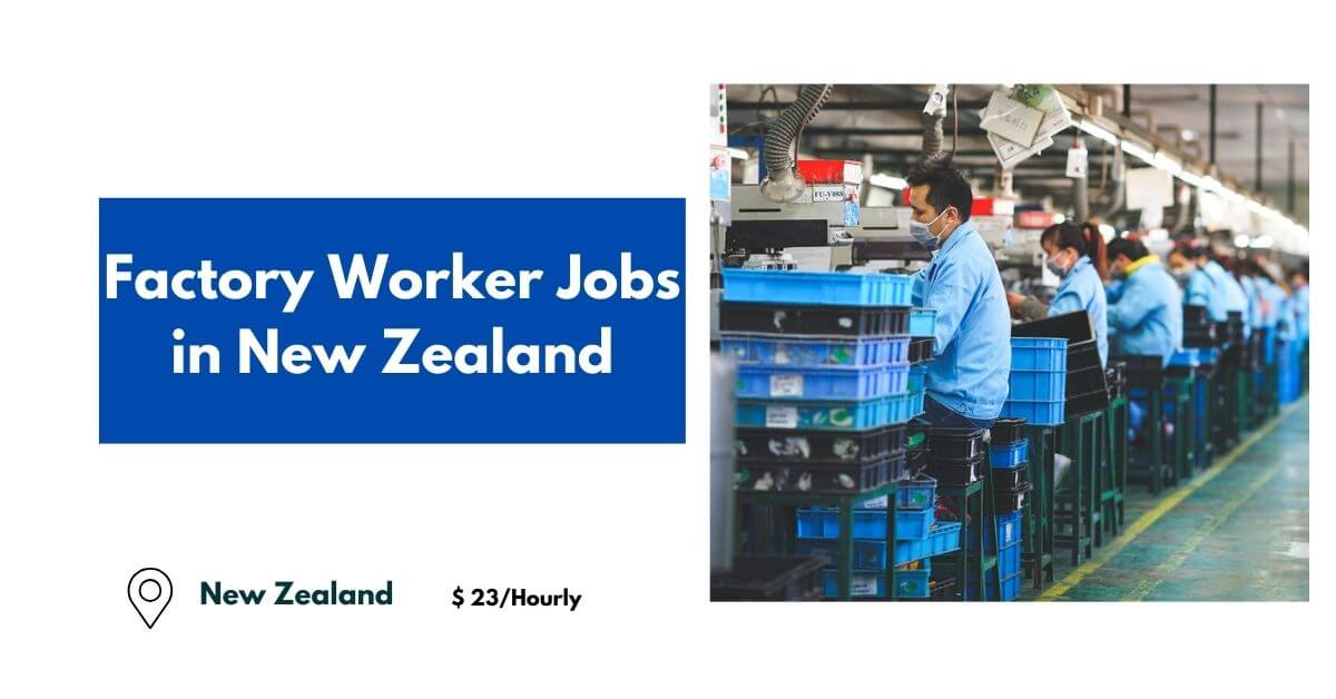 Factory Worker Jobs in New Zealand 2025 - Visa Sponsorship