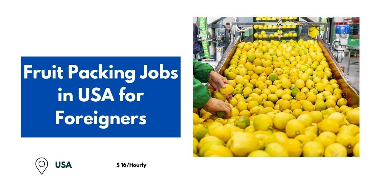 Fruit Packing Jobs in USA for Foreigners 2024